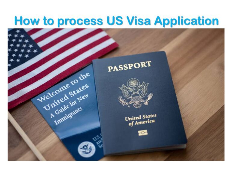 How to process US Visa Application | USA Visa Process - Silness